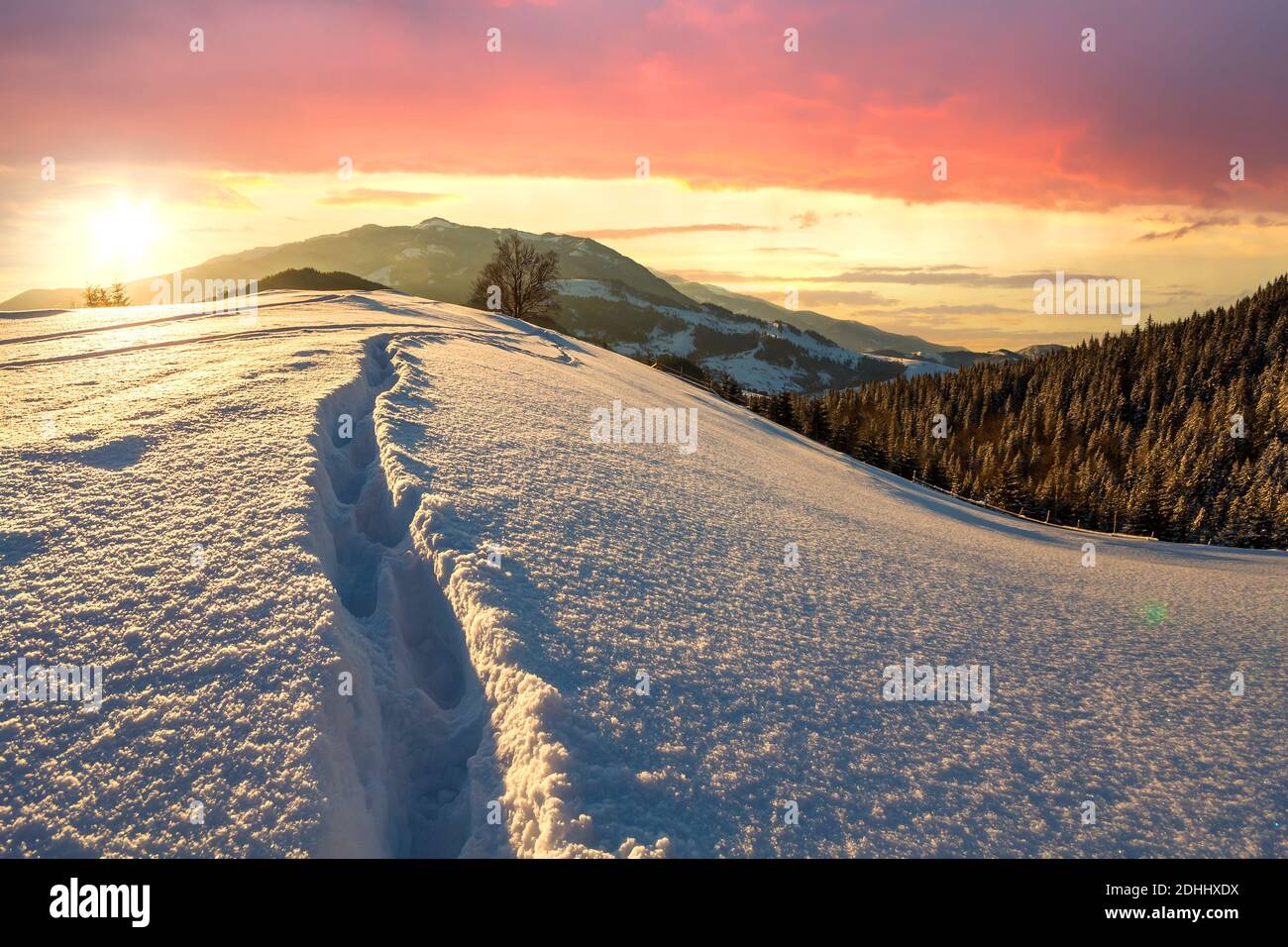 Human footprint track path in white deep snow through empty field with ...