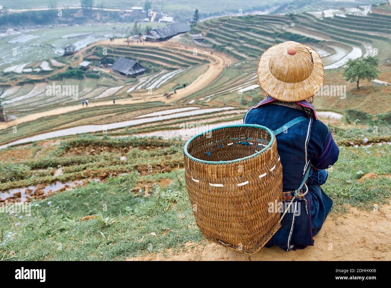 Vietnam. North Vietnam. Sapa area. Rice fields. Black Hmong ethnic ...