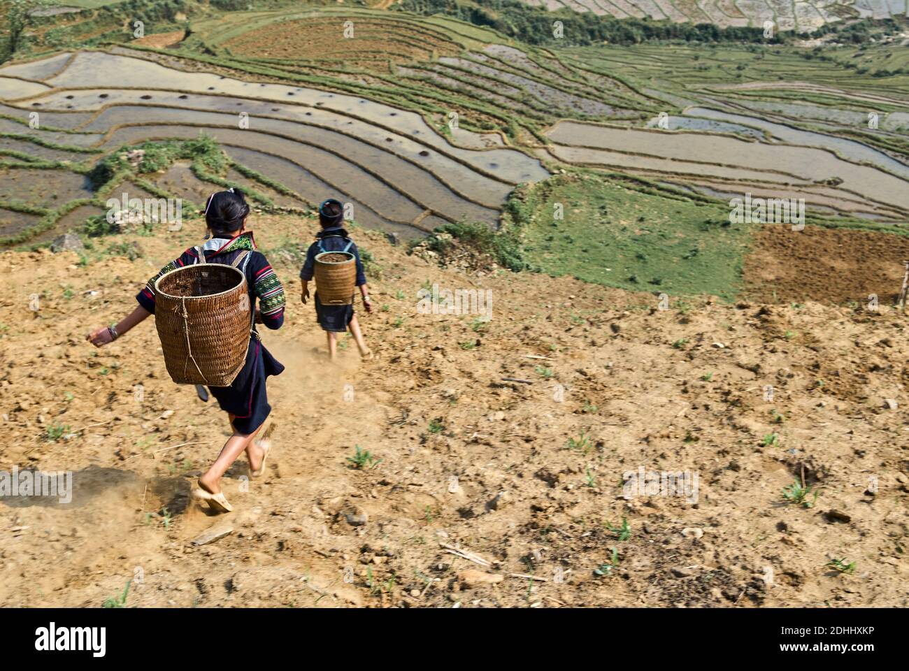 Vietnam. North Vietnam. Sapa area. Young girl from Black Hmong ethnic ...