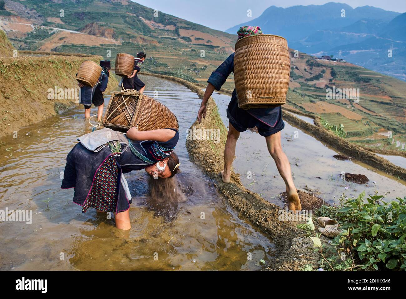 Vietnam. North Vietnam. Sapa area. Young girl from Black Hmong ethnic ...