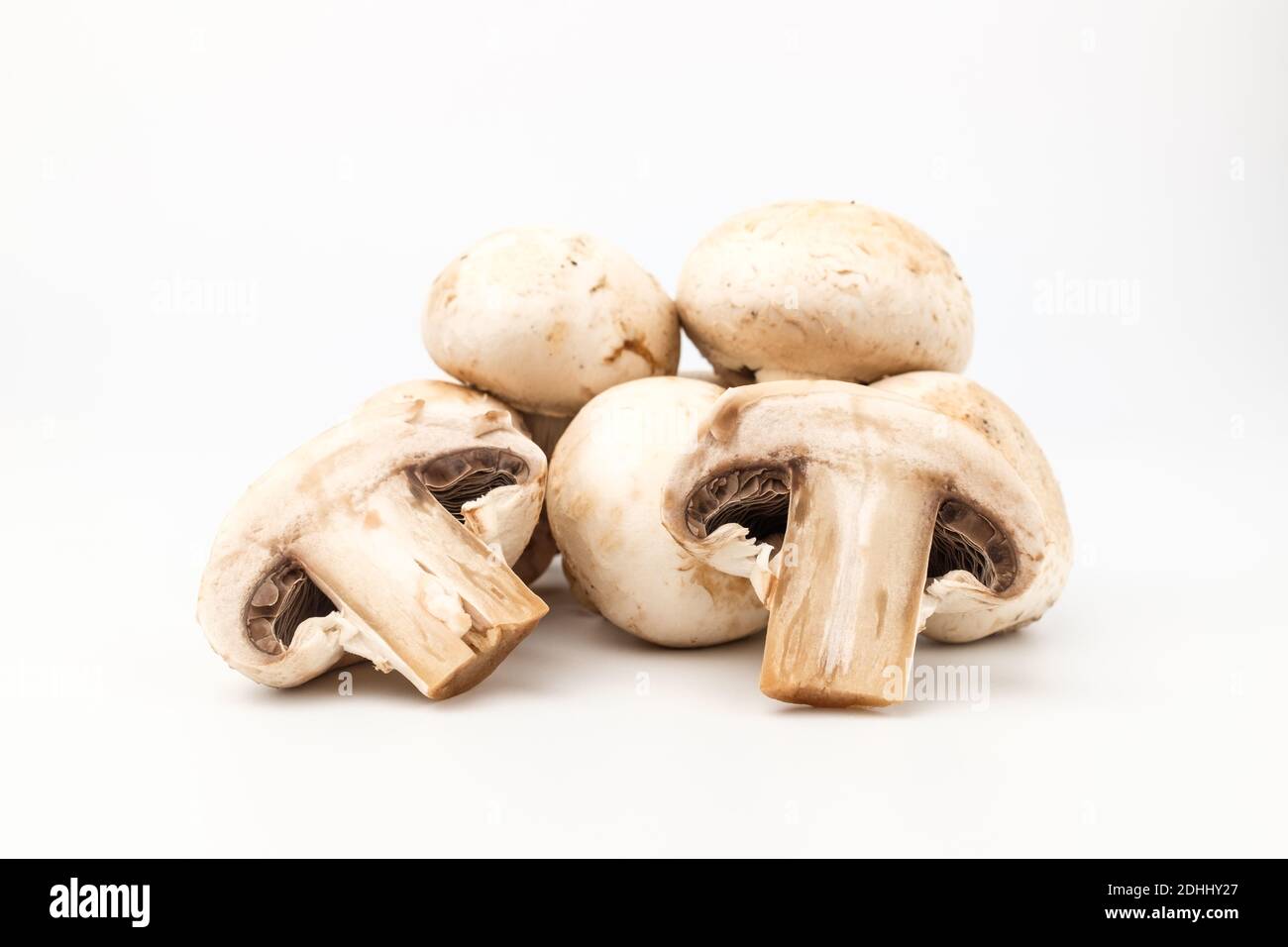 Button mushroom on white background Stock Photo - Alamy