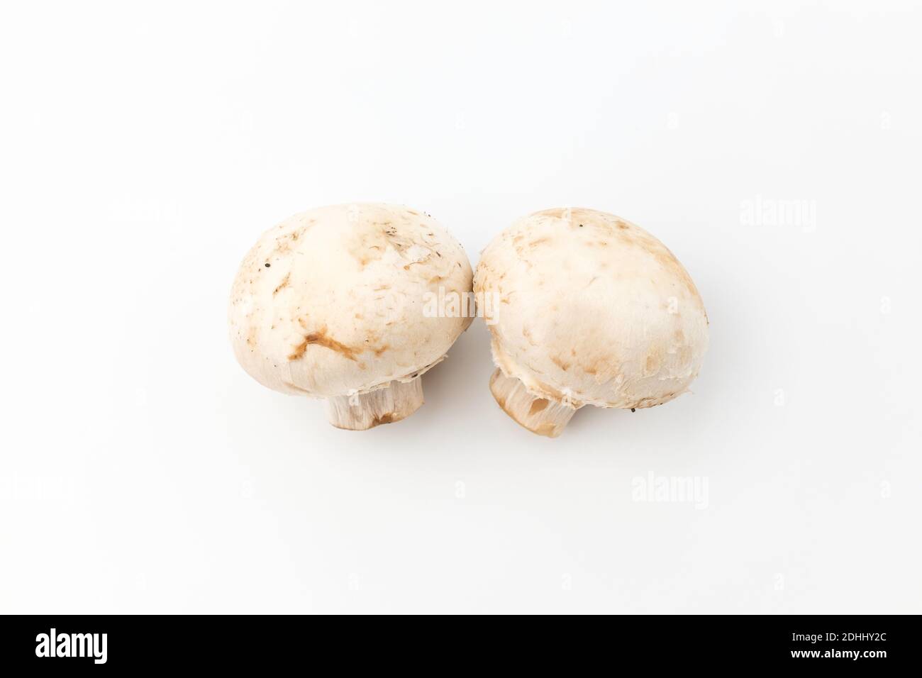 Button mushroom on white background Stock Photo - Alamy
