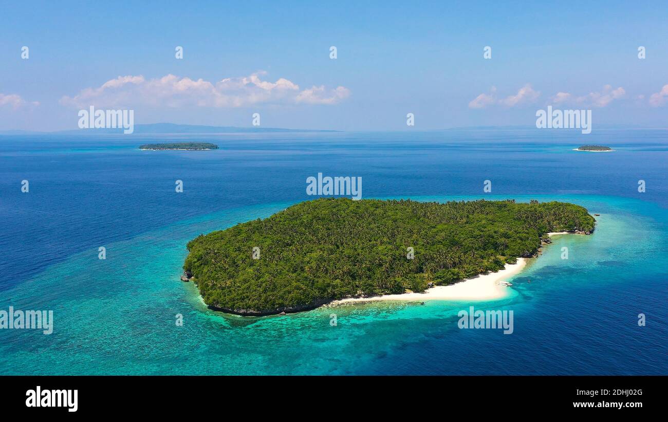 Tropical island with a white beach. Island with palm trees and white ...