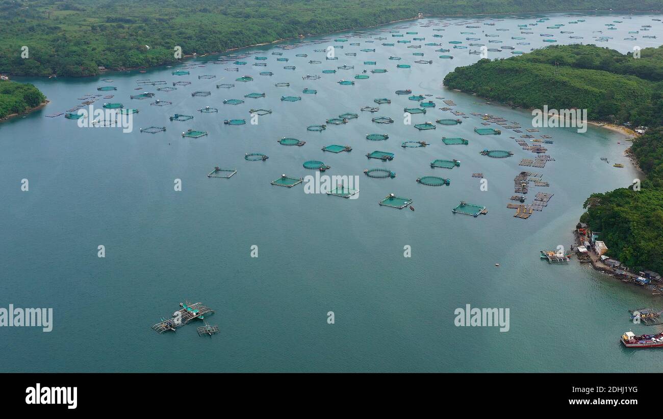 Fish farm with cages for fish and shrimp, top view. Fish cage for ...