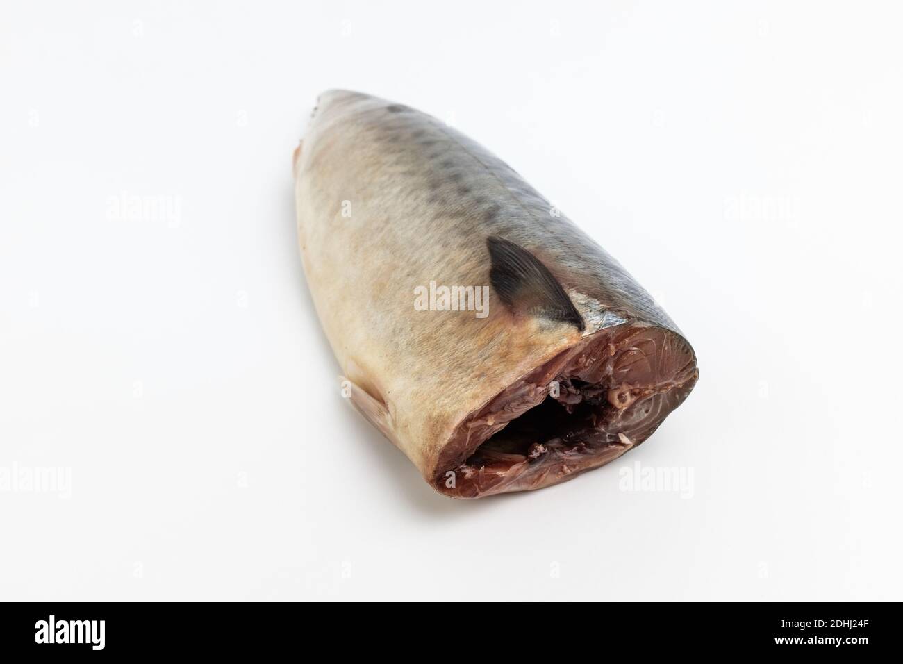 Fish organs hi-res stock photography and images - Alamy