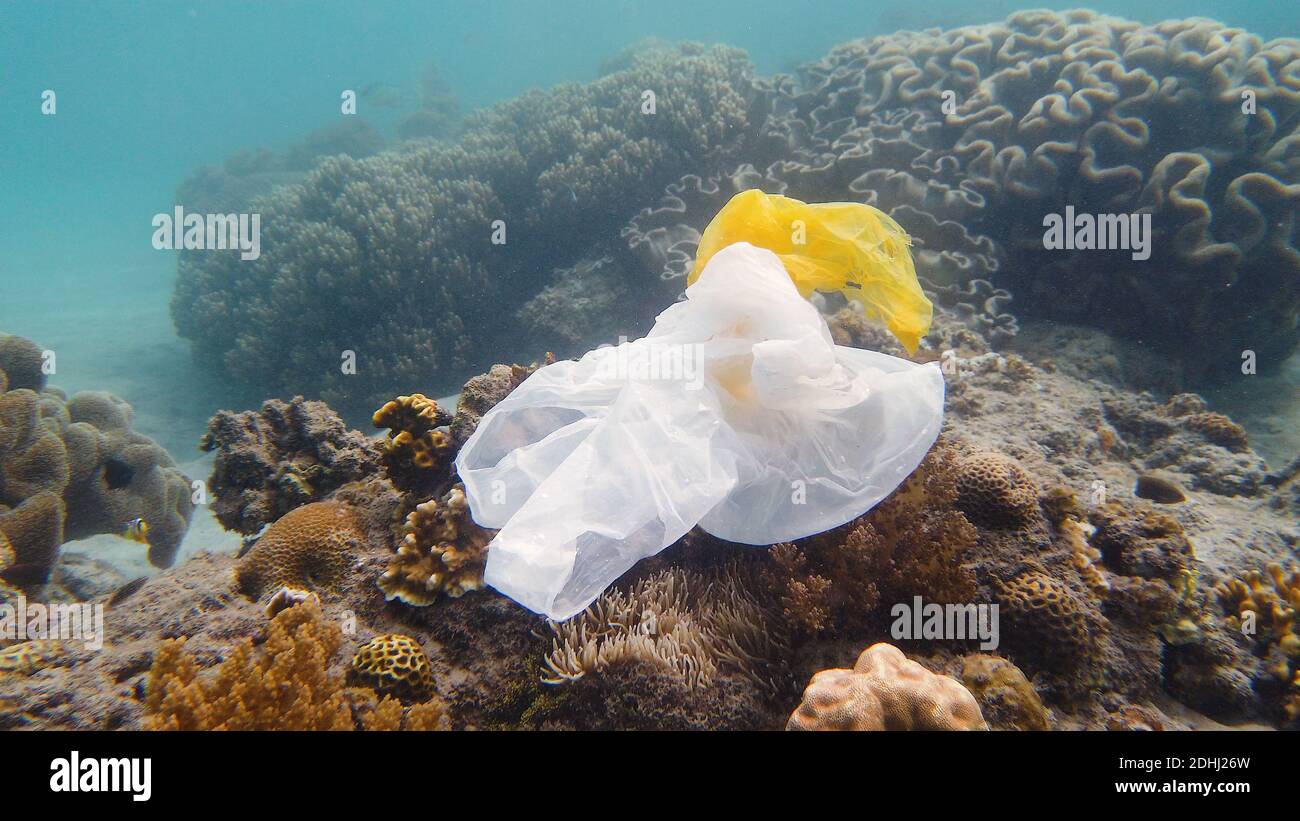 Coral reef pollution by household garbage and plastic bag. Ecological ...