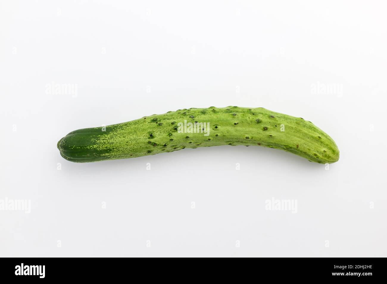 Elongated raw cucumber with background Stock Photo - Alamy