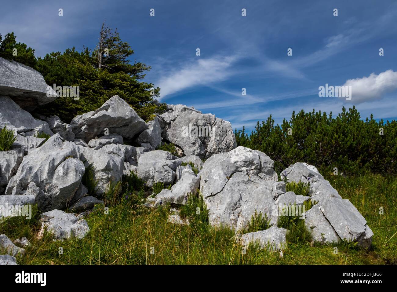 Pile Of Big Rock Boulders On Meadow With Conifer Trees Stock Photo - Alamy