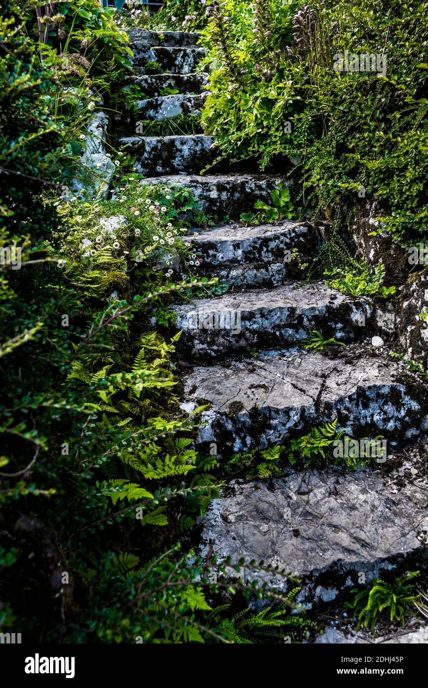 Weathered Stone Stairs With Narrow Path And Vegetation Stock Photo - Alamy