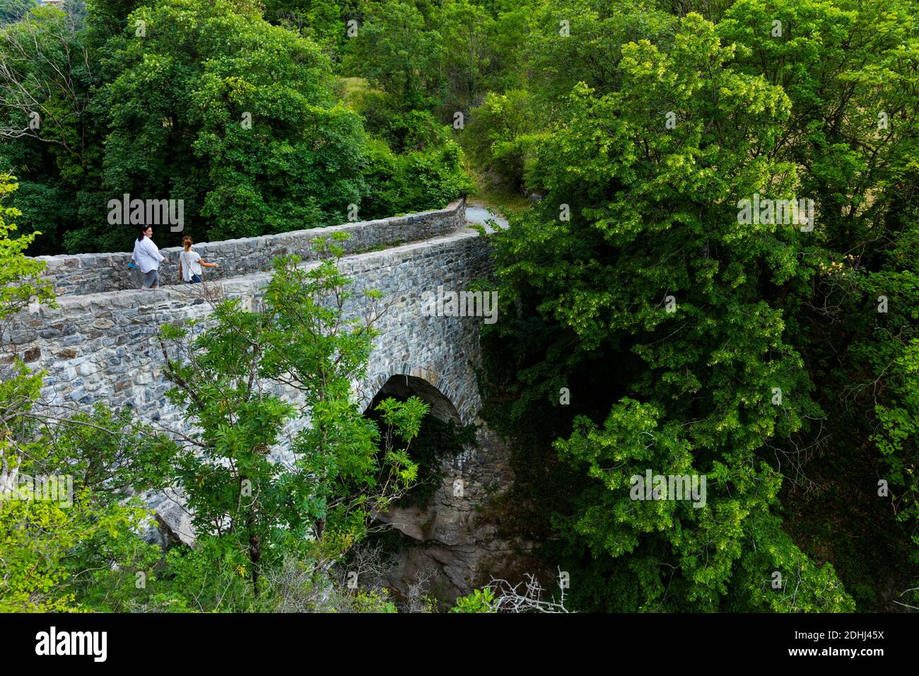 Romanesque Bridge, Ubaye Valley, Vallée de l'Ubaye, Alpes Haute ...