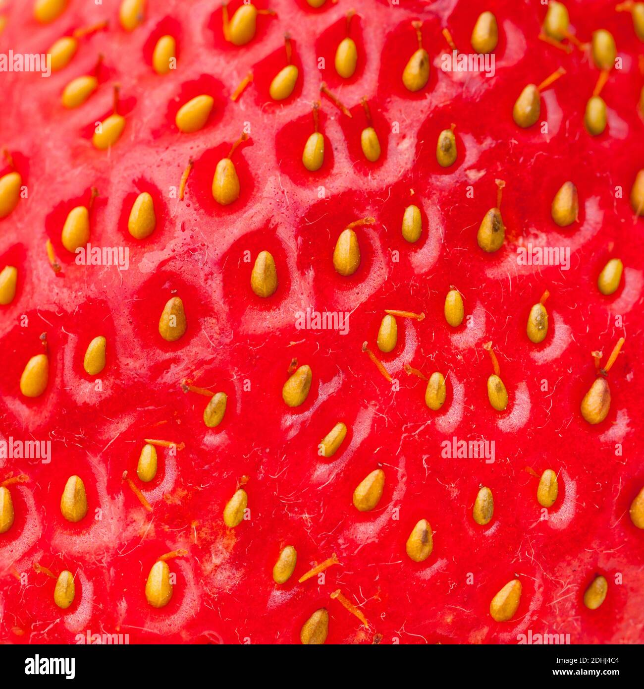 Strawberry Skin Texture