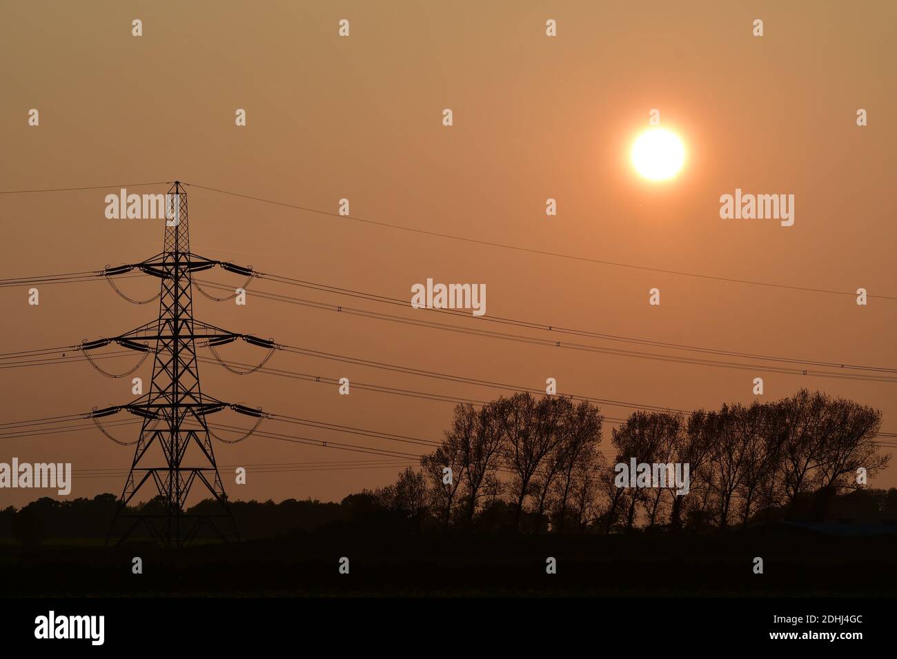Pylon trees woods hi-res stock photography and images - Alamy
