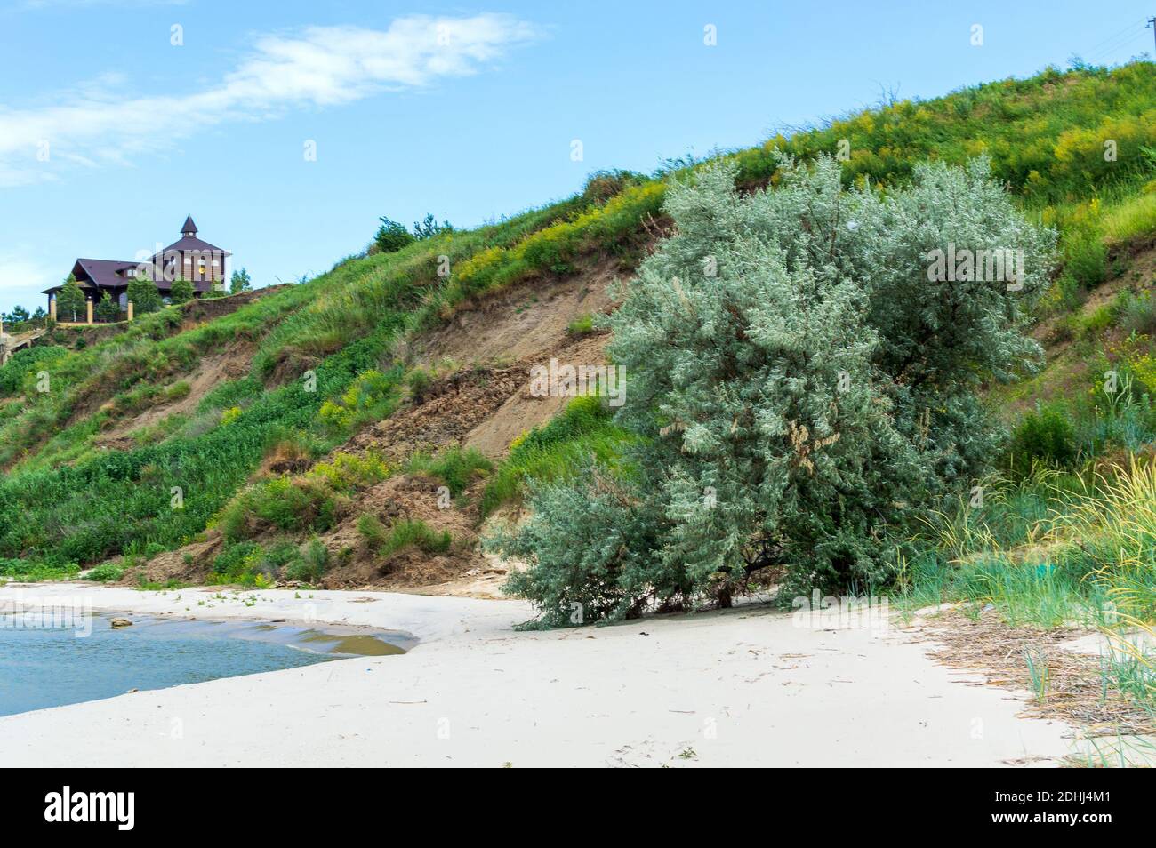 Terrain on the coast of the Azov Sea in the Rostov region. Summer time ...