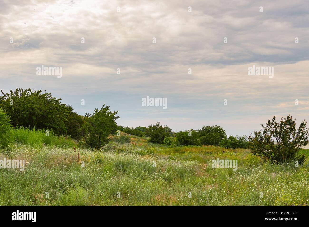 Terrain on the coast of the Azov Sea in the Rostov region. Summer time ...