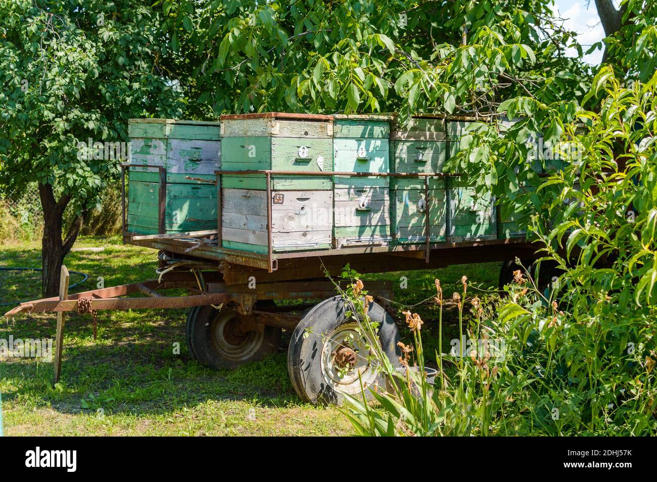 Old mobile apiary-trailer at forest in waiting for bees Stock Photo - Alamy