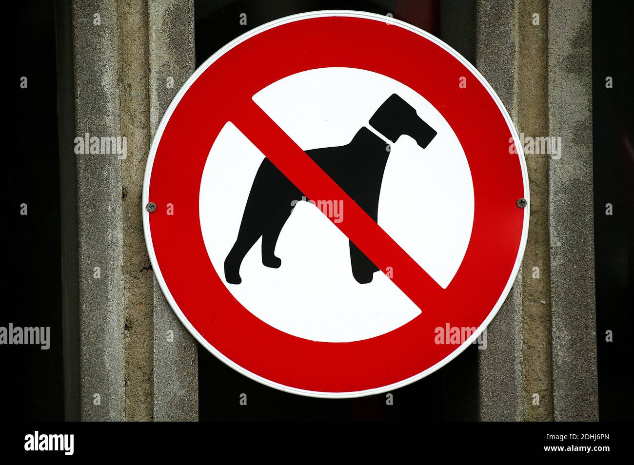 Sign for Prohibited Dogs Stock Photo - Alamy
