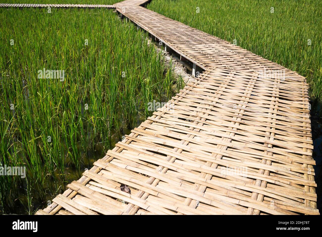 Simple walkway in summer rice field resort, stock photo Stock Photo - Alamy
