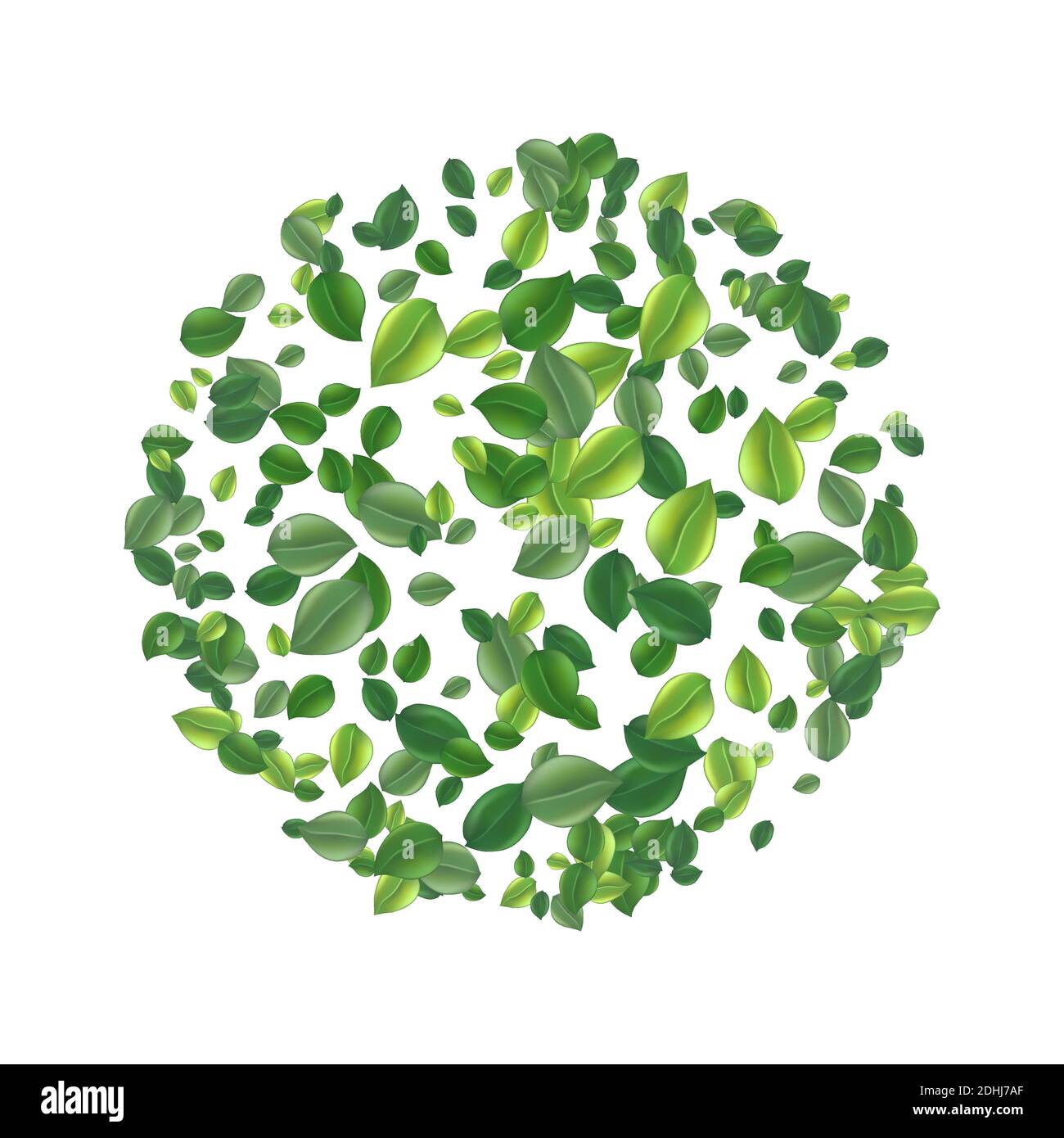 Round frame made of flying green tea leaf isolated on white. Leaves ...