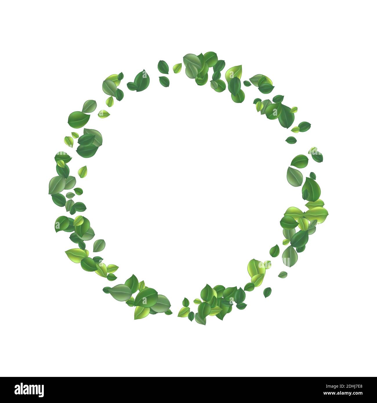 Round frame made of flying green tea leaf isolated on white. Leaves ...