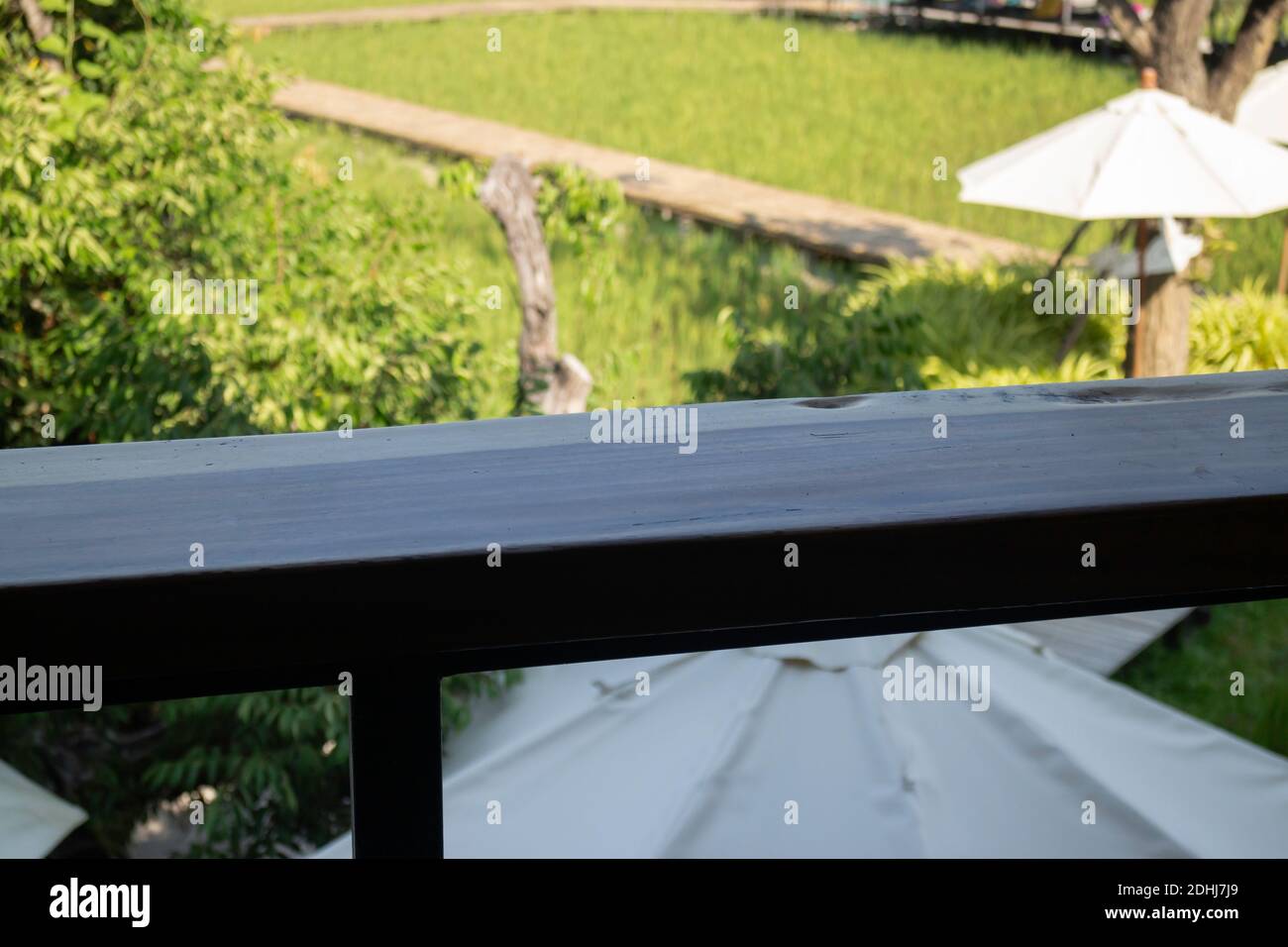 Green rice field relax in summer, stock photo Stock Photo - Alamy