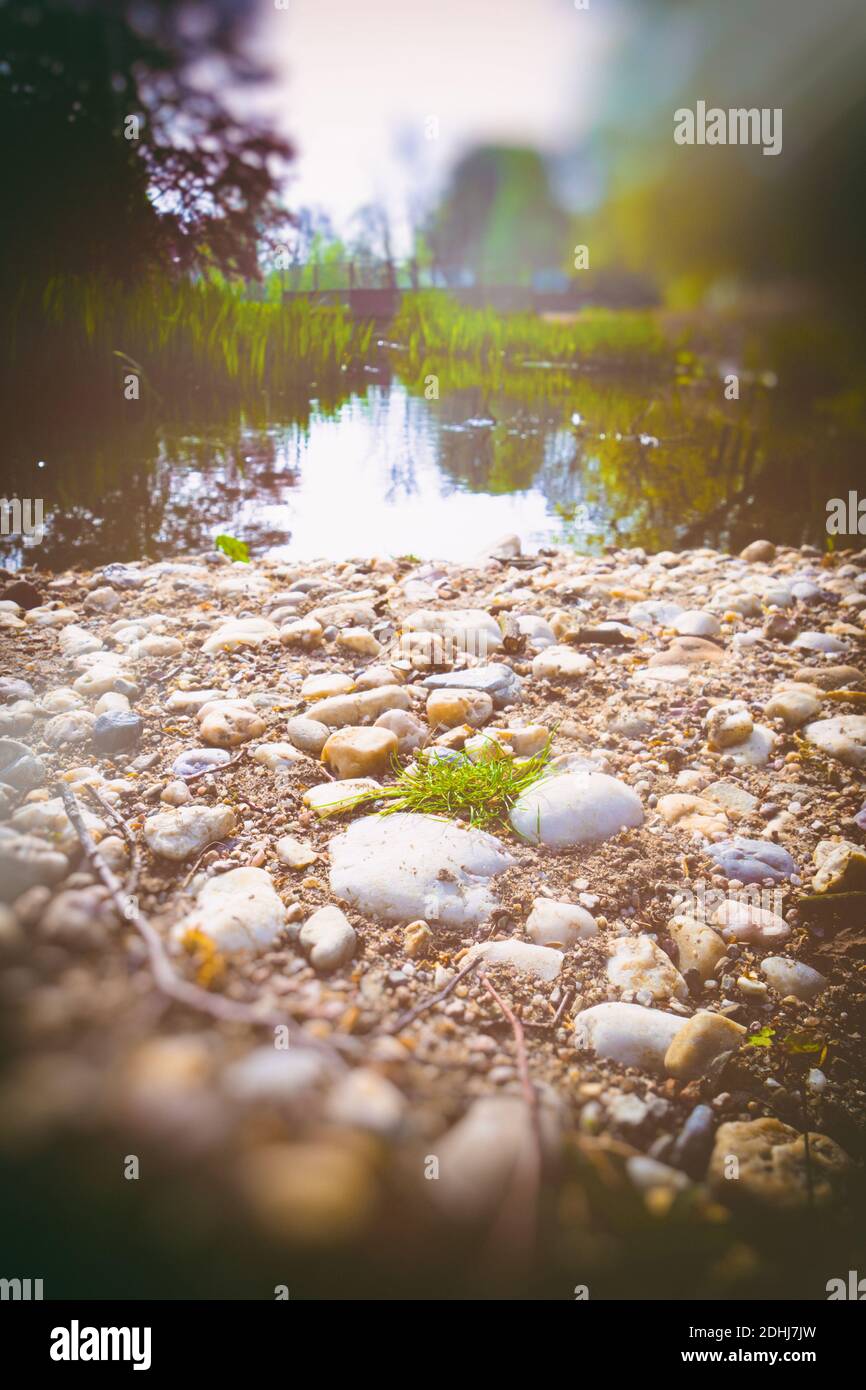 Mystical water pond hi-res stock photography and images - Alamy