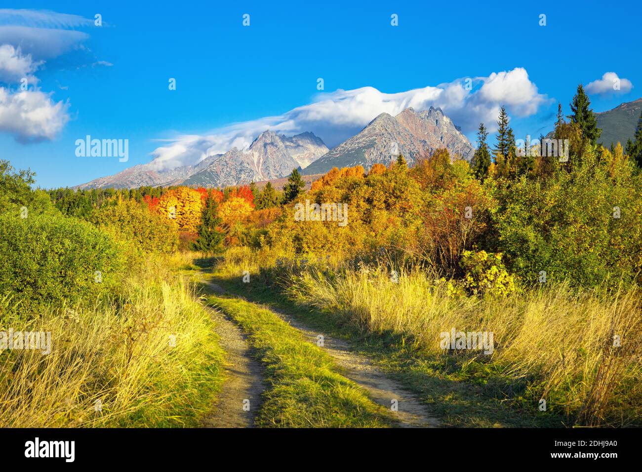 Beautiful nature and waterfall in Slovak paradise,Slovakia Stock Photo ...