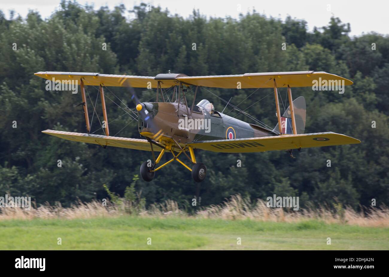 de Havilland DH82 Queen Bee aircraft Stock Photo - Alamy