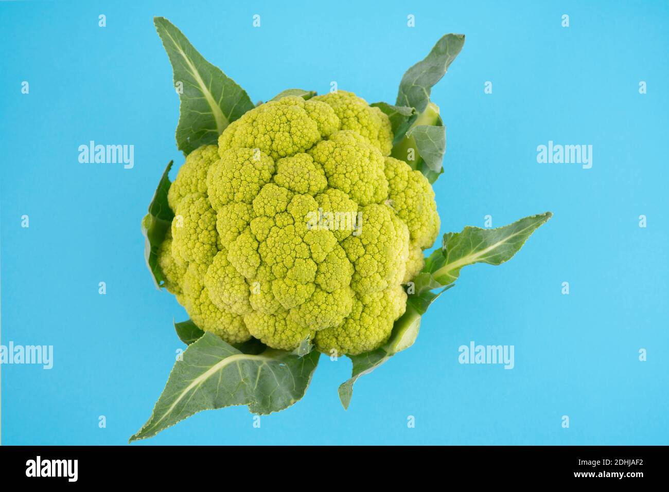 a green cauliflower on a blue surface Stock Photo - Alamy