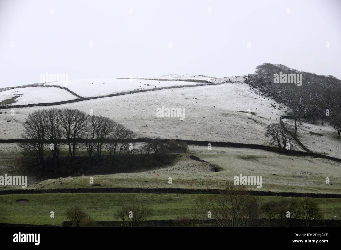 Pictured is a snowy scene in the Yorkshire Dales above Settle. weather ...