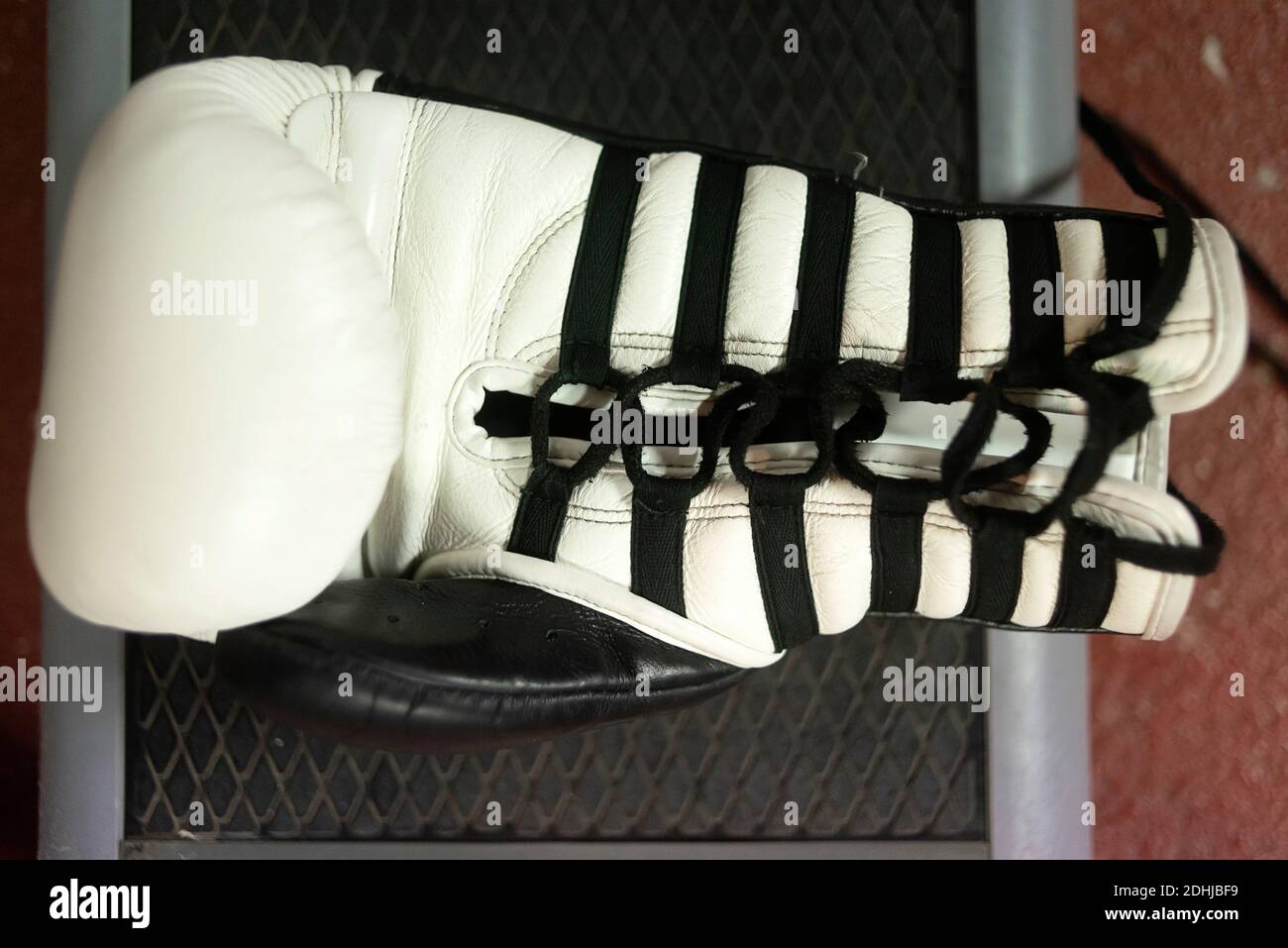 Top view of white boxing glove with black laces Stock Photo - Alamy