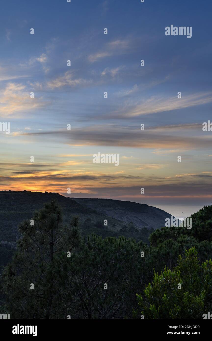 A vertical beautiful shot of a sunset cloudscape over a densely ...