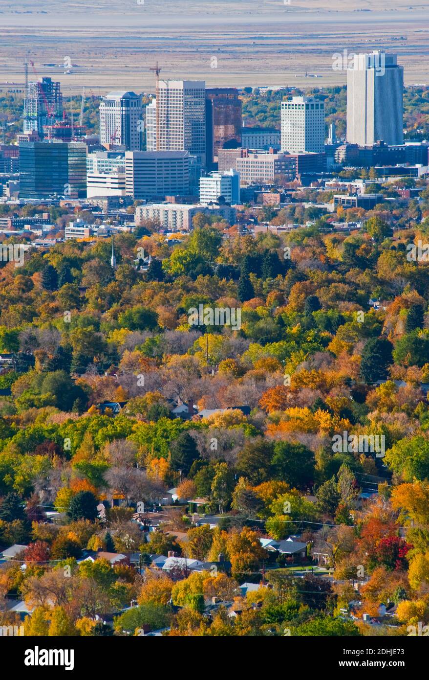 Skyscrapers with wooded suburb in foreground Stock Photo - Alamy