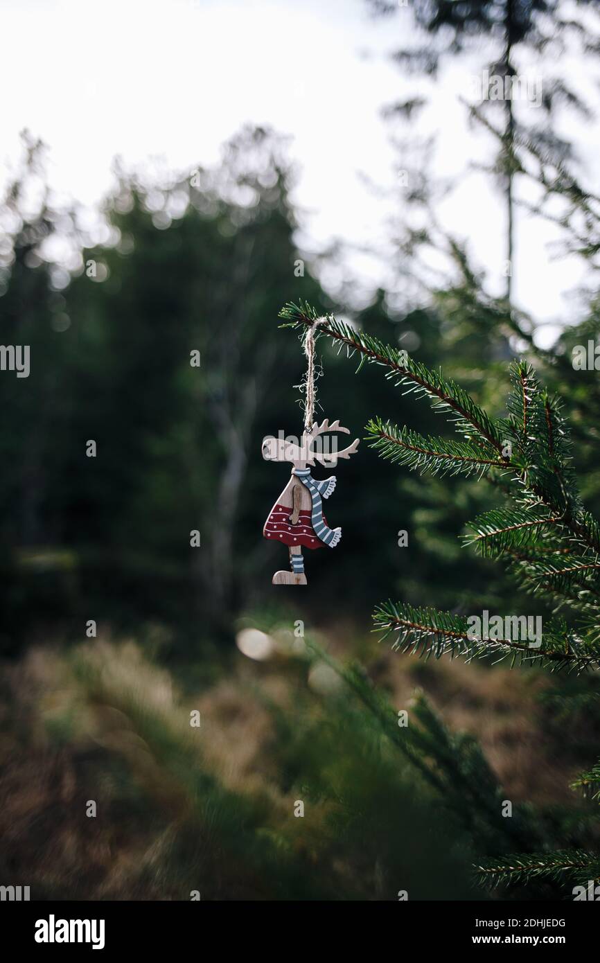 A wooden Christmas hanger in form of a elk hanging on a fir tree Stock ...