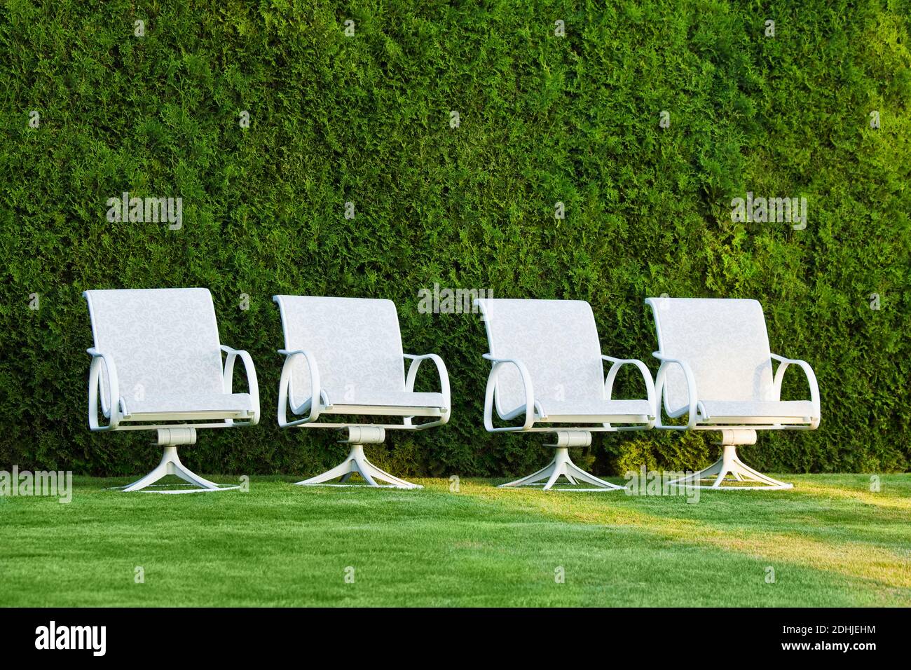 Swivel chairs in front of a hedge on grass Stock Photo - Alamy