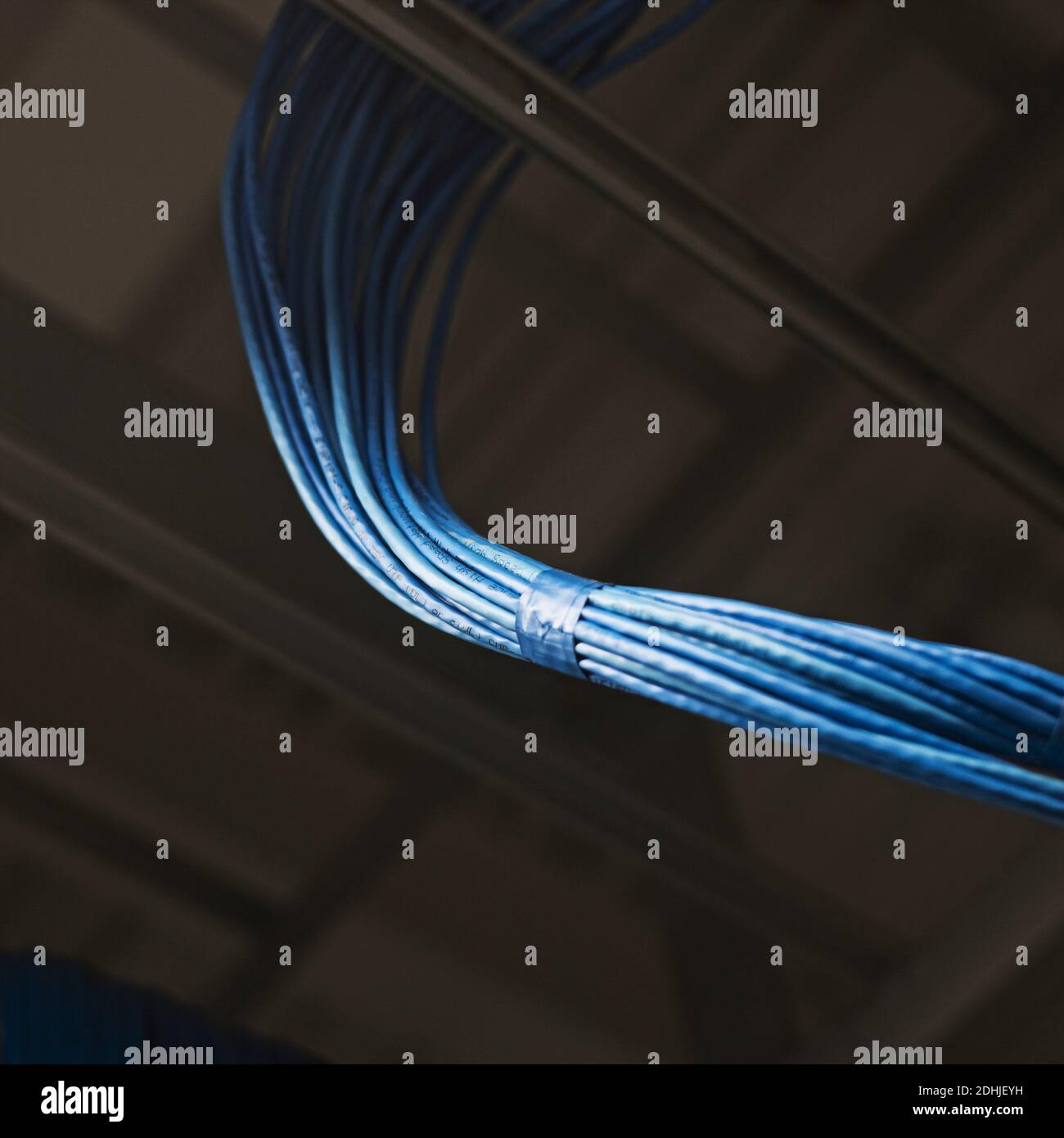 Blue power cables in server room Stock Photo - Alamy