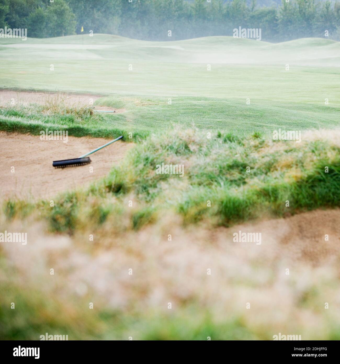 Rake in sand bunker on misty golf course Stock Photo - Alamy