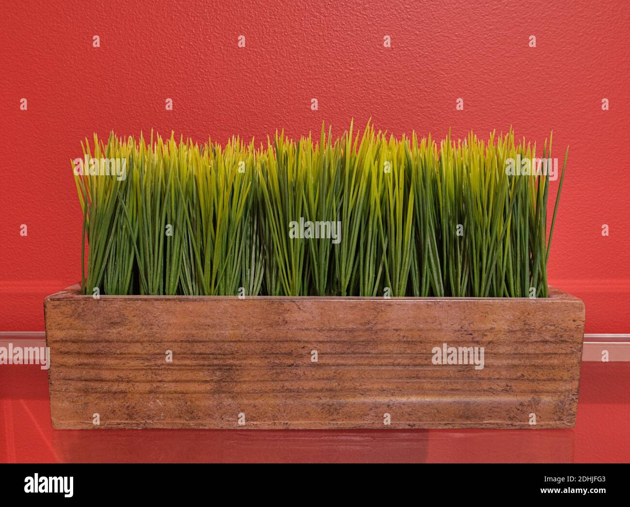 Grass in plant trough on glass table Stock Photo - Alamy