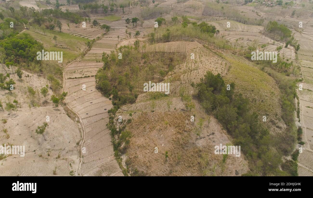 agricultural land in rural areas with farmlands, fields with crops ...