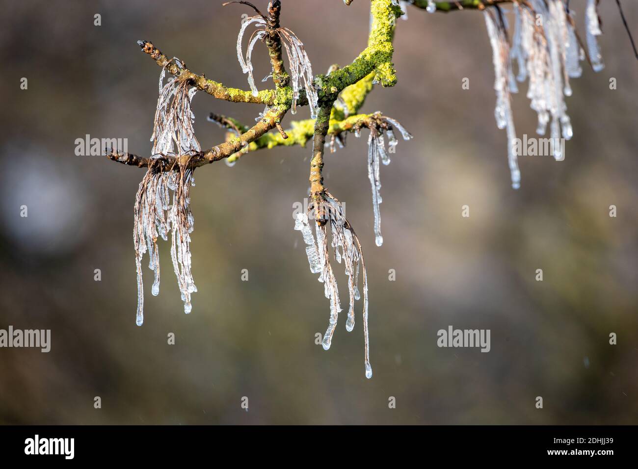 Thick ice formed from hi-res stock photography and images - Alamy