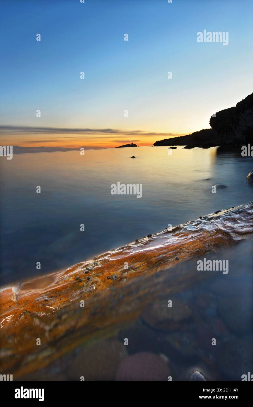 A petrified tree in a beach close to Sigri town, in one of the Geoparks ...