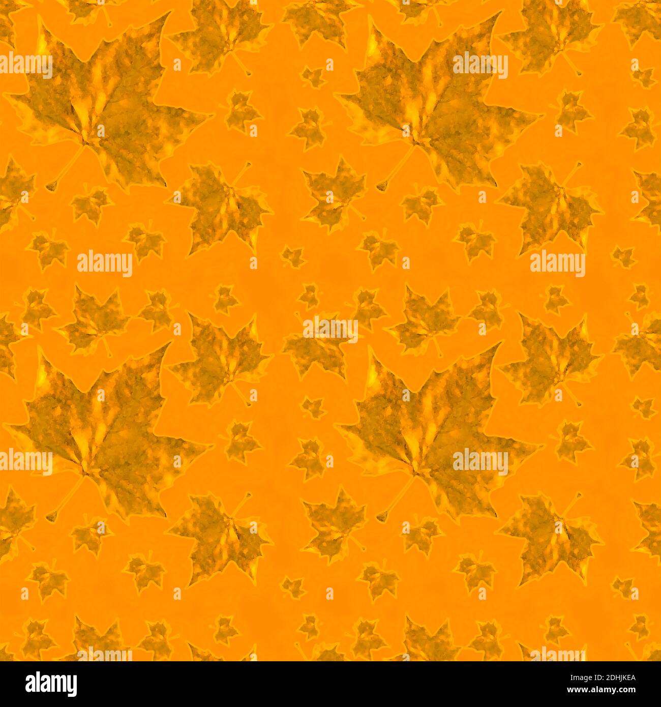 Set seamless leaves pattern hi-res stock photography and images - Alamy