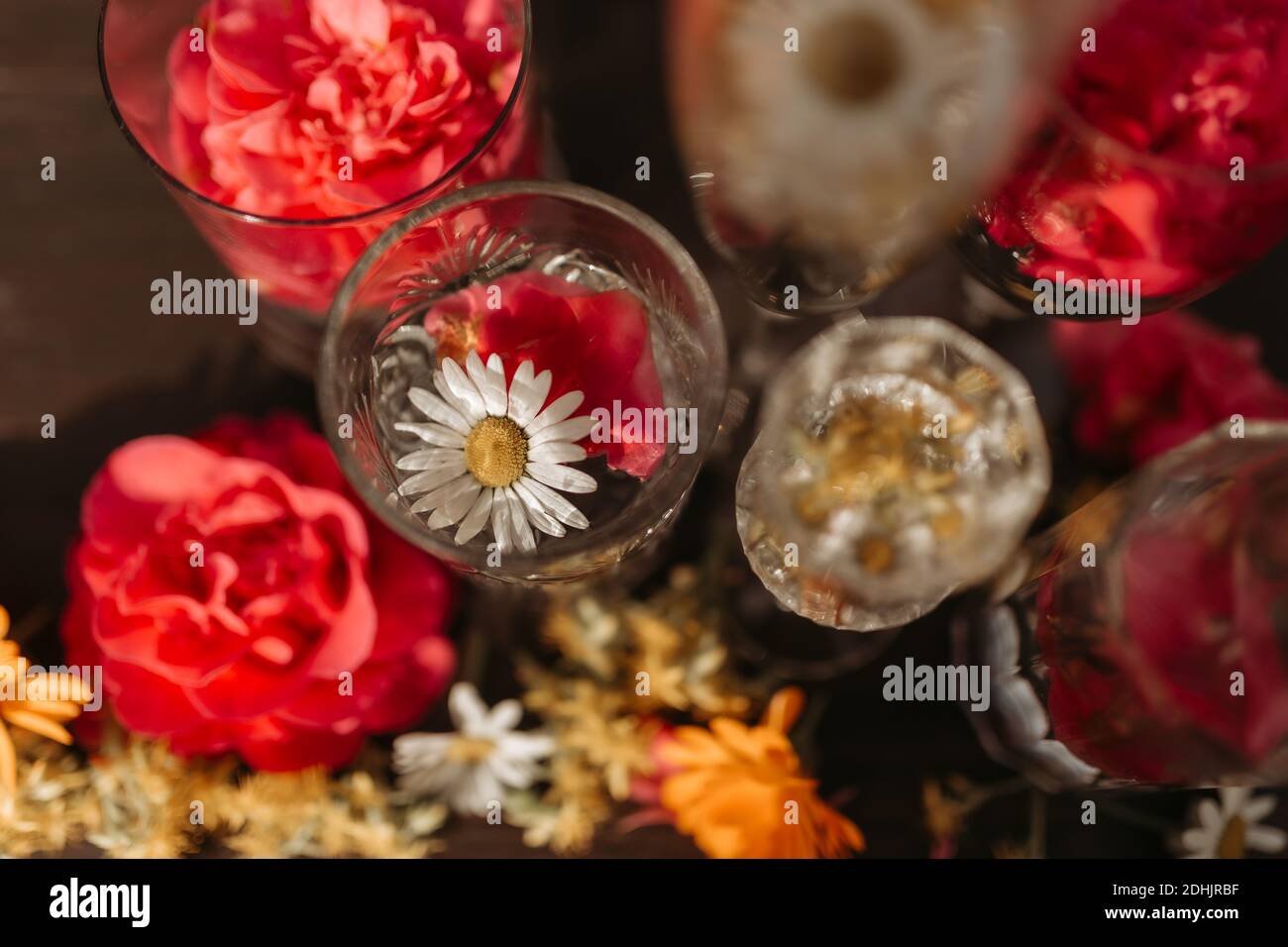 Types of buds hi-res stock photography and images - Alamy