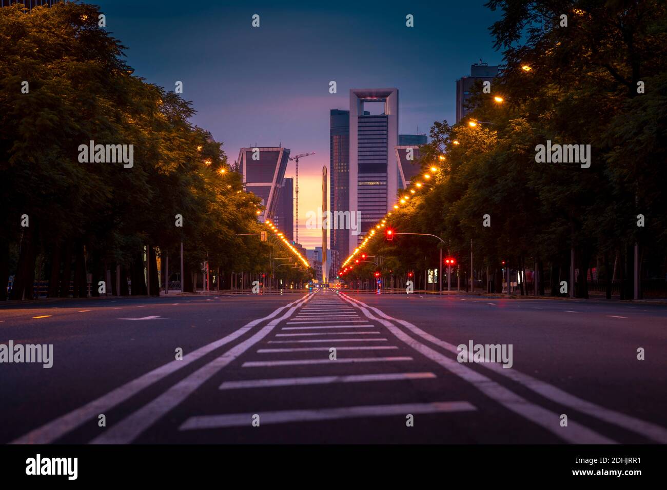 Ground level of empty asphalt roadway between trees at amazing sunset ...