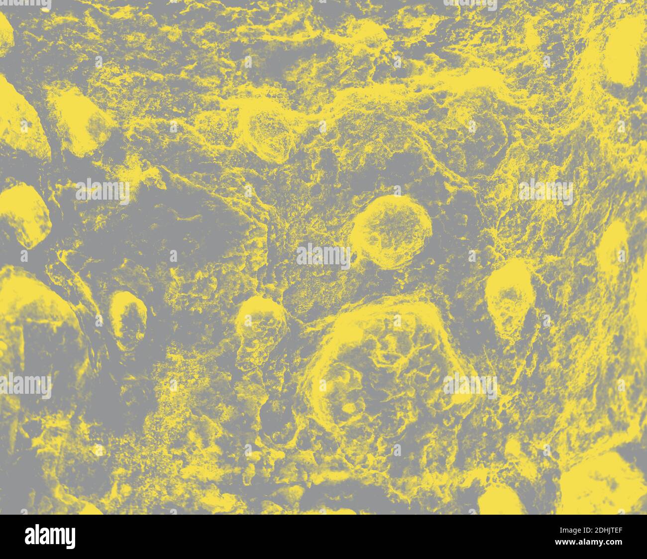 Natural stone texture and surface background trending color of 2021 ...