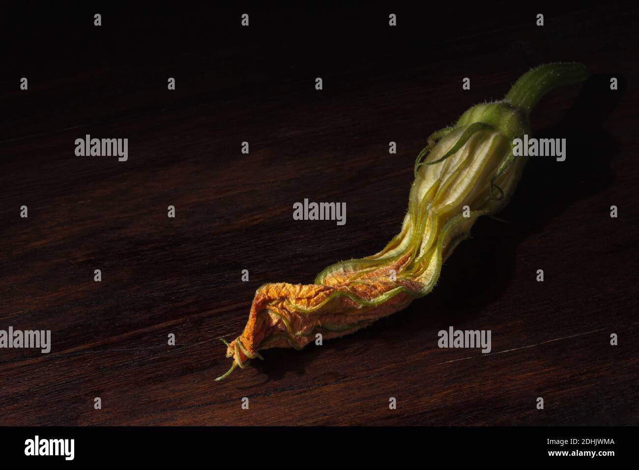 Baroque painting style still life with fresh edible zucchini flowers ...