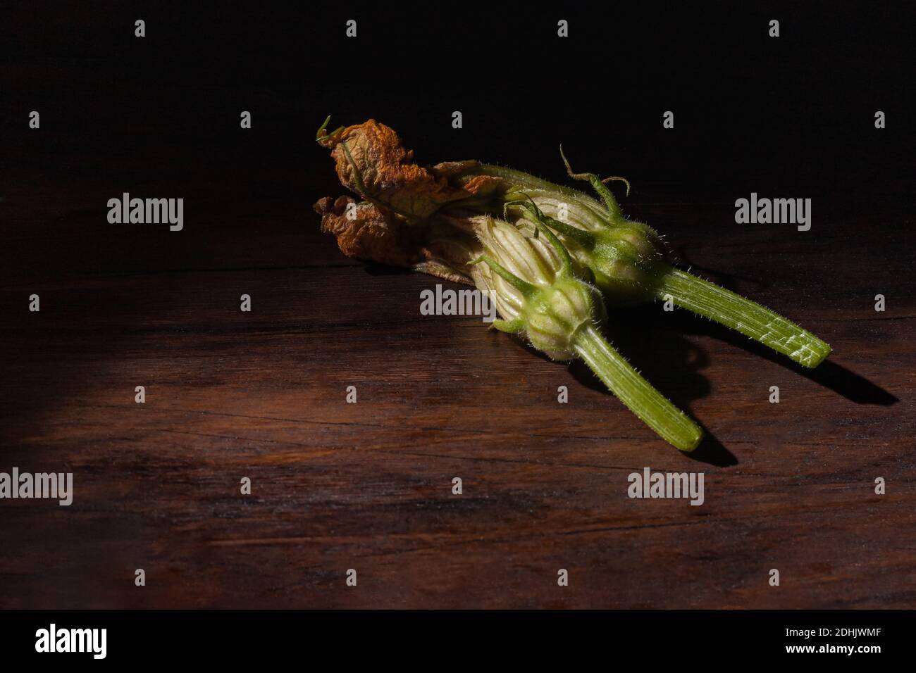 Baroque painting style still life with fresh edible zucchini flowers ...