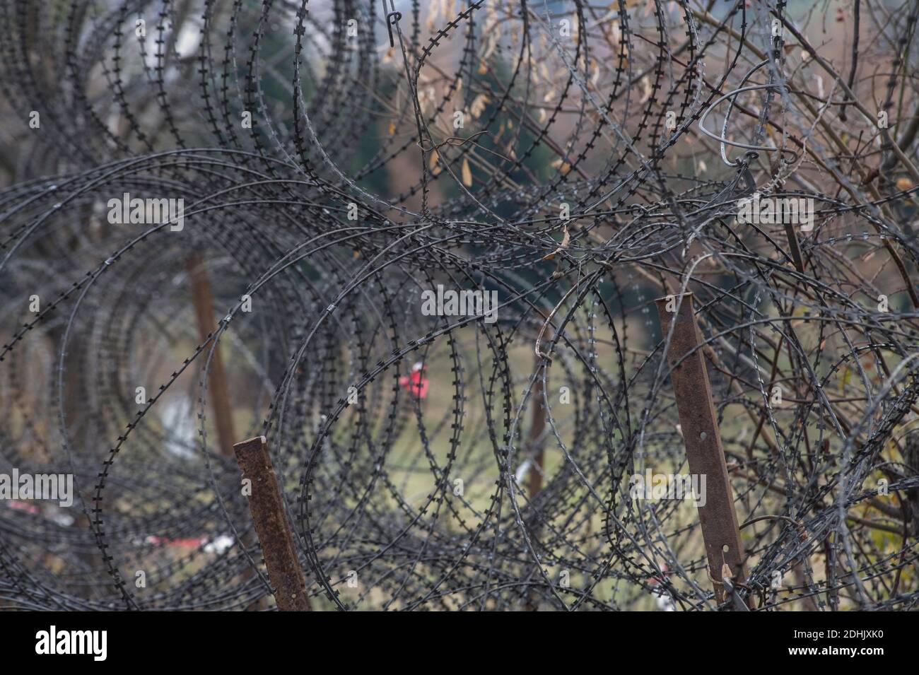 barbed wire as barrier in a prison, measure to prevent outbreaks Stock ...