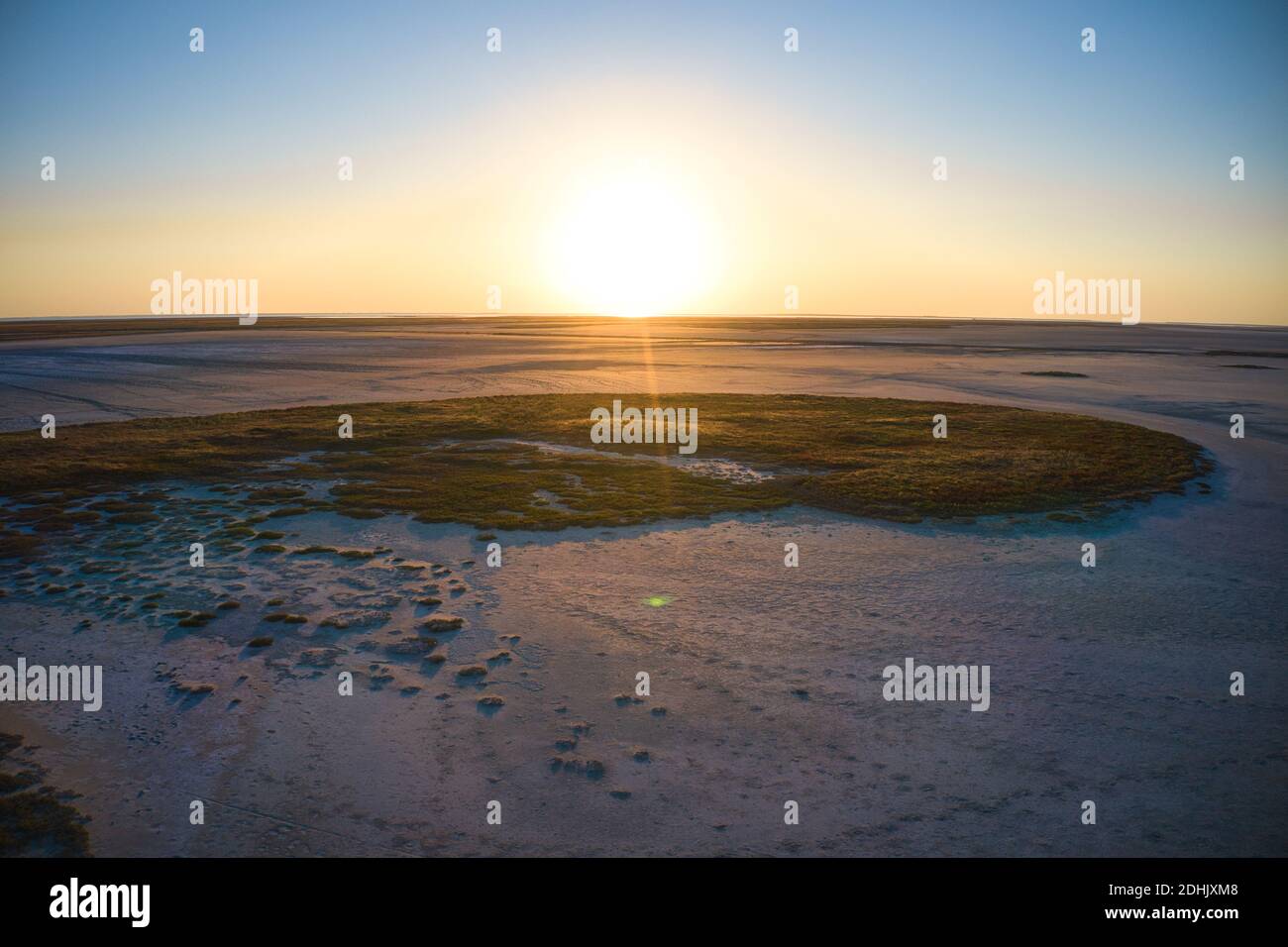 Top view of a sandy swamp with large patches of grass and bushes Stock ...