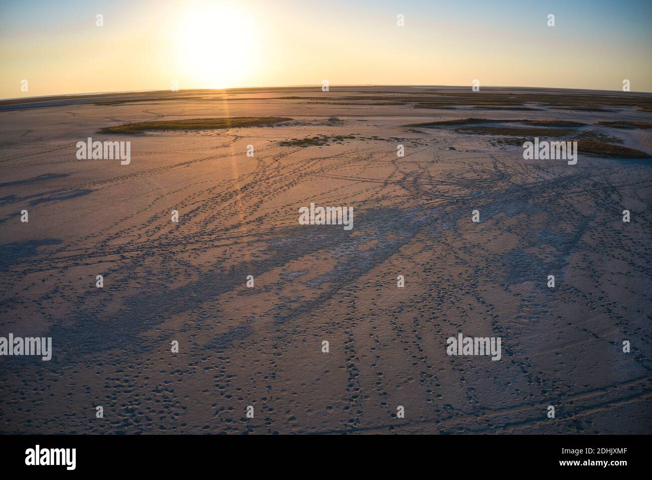 Top view of a sandy swamp with large patches of grass and bushes Stock ...