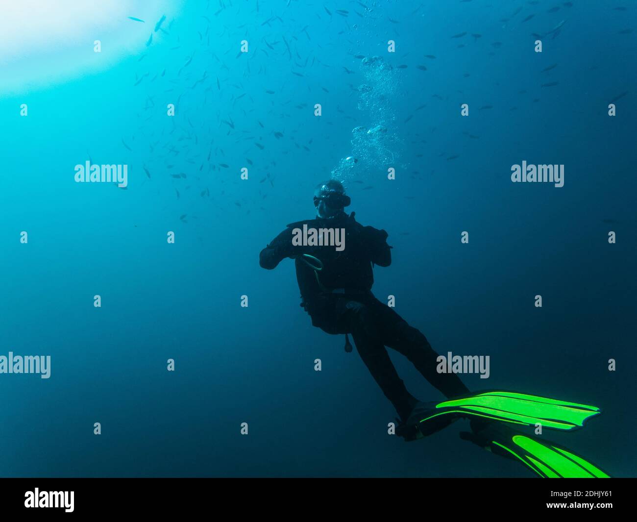 Anonymous diver hi-res stock photography and images - Alamy